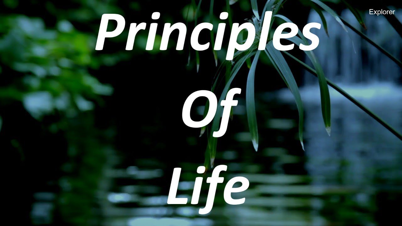 Principles of Life and Delayed Success - Gloemi